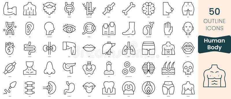Set of Human Body Icons. Thin Linear Style Icons Pack Stock Vector ... Set of Human Body Icons. Thin Linear Style Icons Pack Stock Vector ...