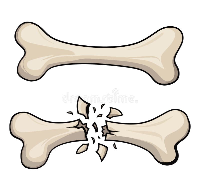 Set of Human Bone Skeleton Elements. Includes Crossed Bones for Jolly ...