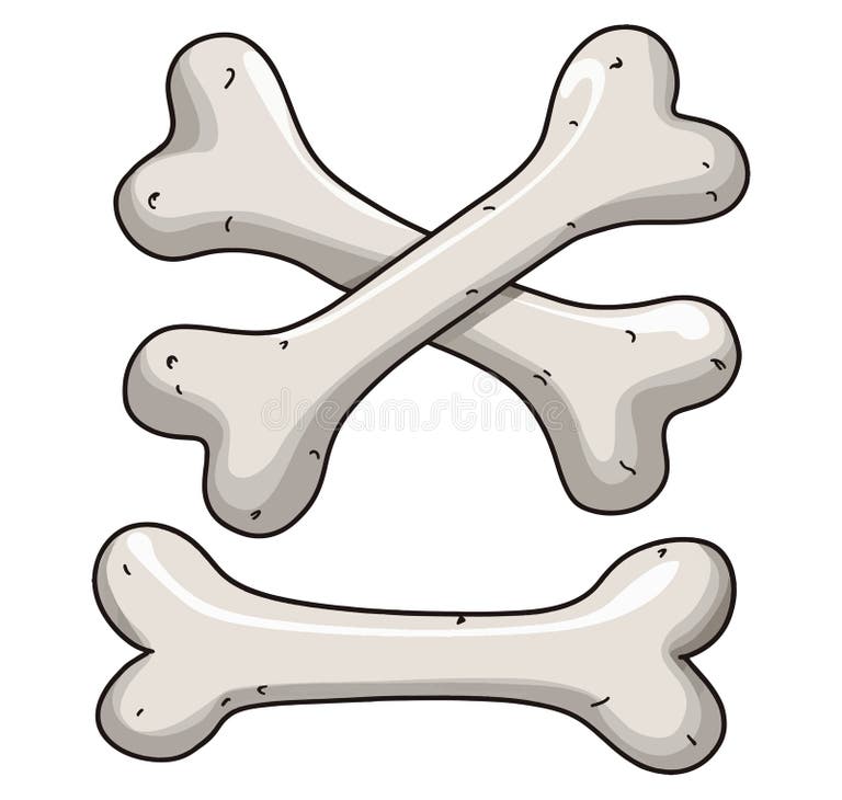 Set of Human Bone Skeleton Elements. Includes Crossed Bones for Jolly ...