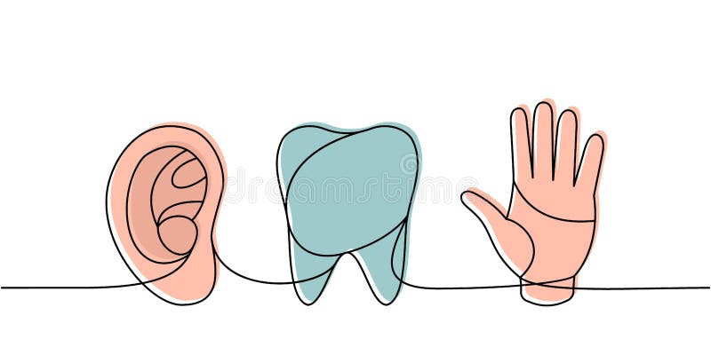 Set of Human Organs One Line Colored Continuous Drawing. Tooth, Ear ... Set of Human Organs One Line Colored Continuous Drawing. Tooth, Ear ...