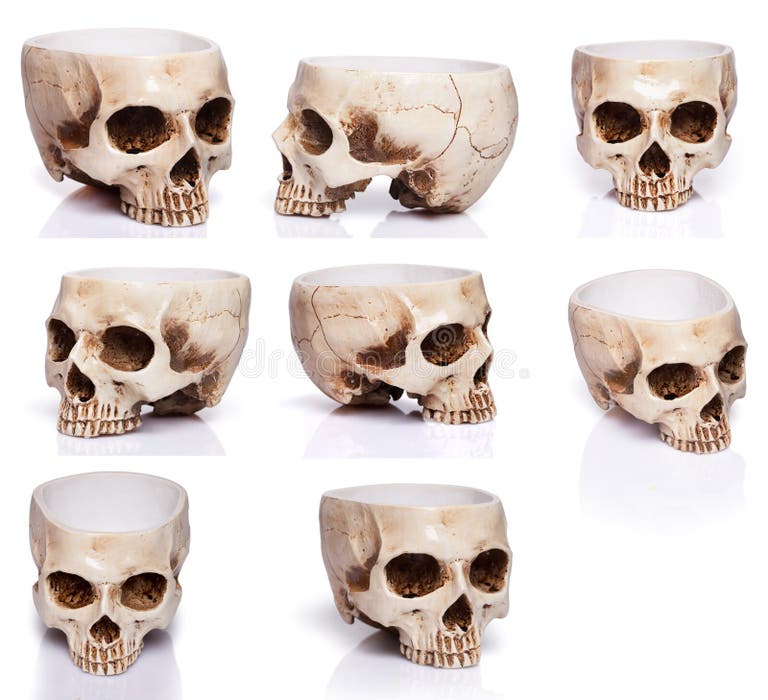 Set of Human Skulls in Different Angles. Isolated Stock Photo - Image ...