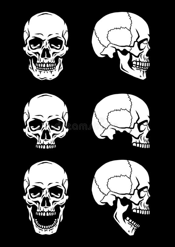 Set of human skulls. stock illustration. Illustration of fear - 346958440