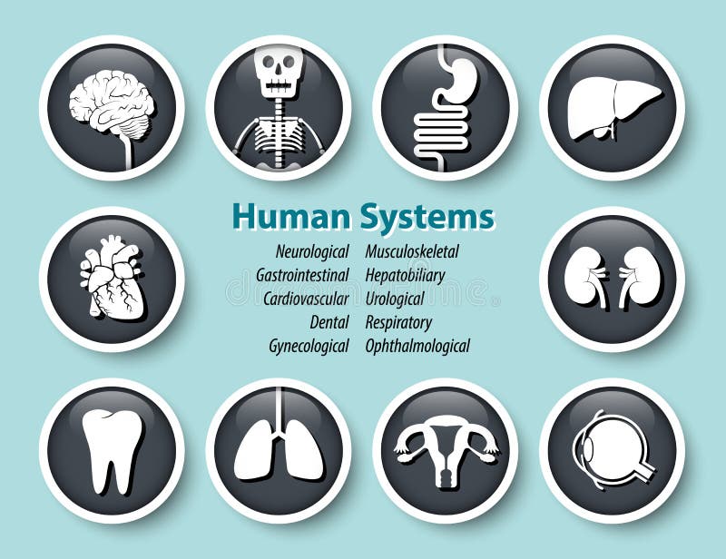 Set of Human Systems Icon . Round Glass Cover Design Stock Vector ...