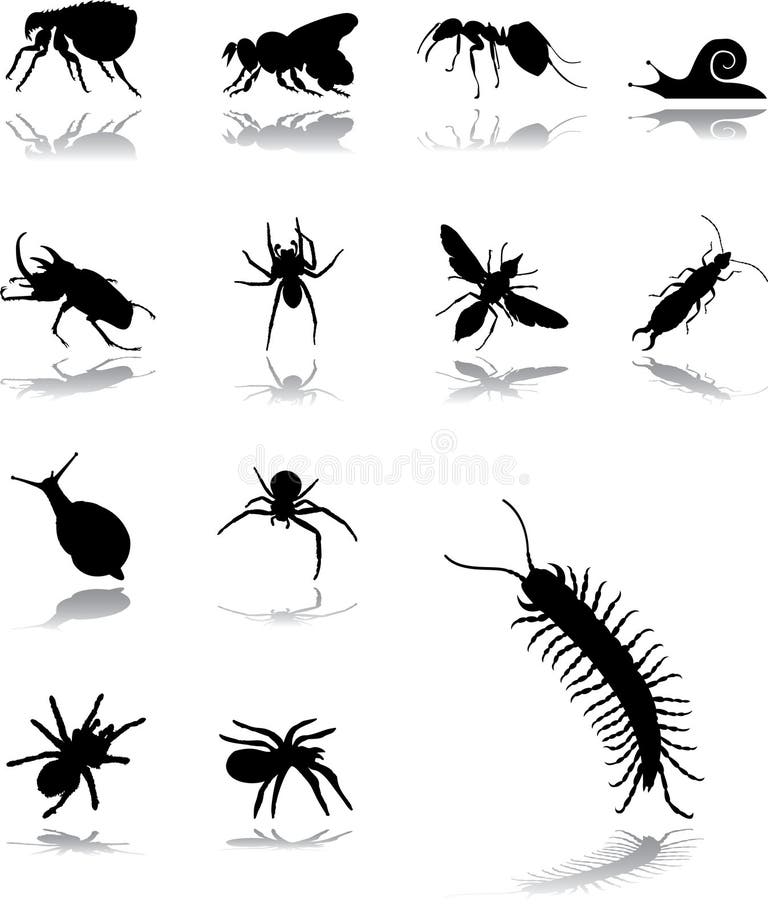 Garden Insects Group Stock Illustrations – 717 Garden Insects Group ...