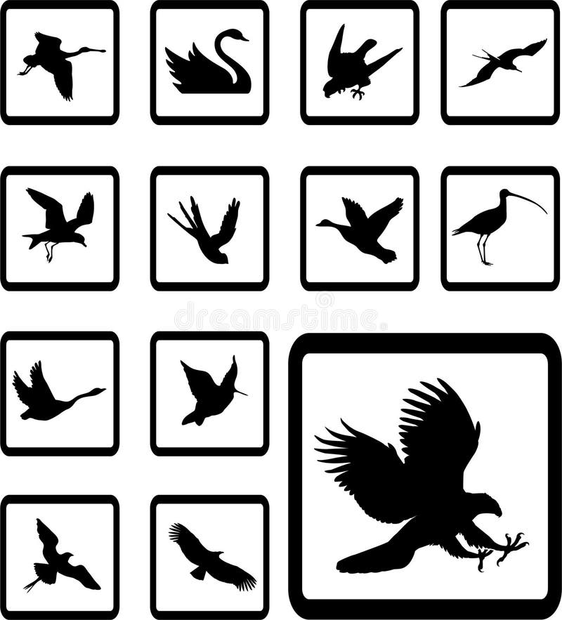 Big set icons - 2. Birds stock vector. Illustration of object - 6253090
