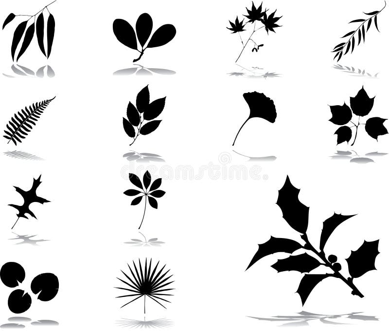Set icons - 40. Leaves stock vector. Illustration of computer - 5841383