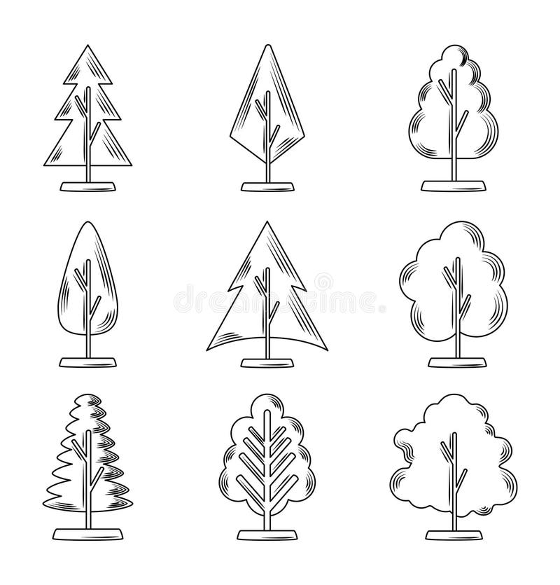 Set of Icons Trees Nature Botany and Ecology Stock Vector ...