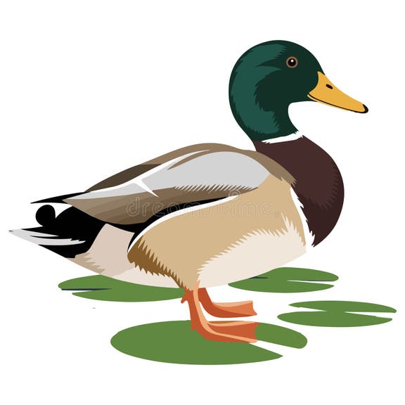 Set of Illustration Duck. Clean Vector Design Stock Vector ...