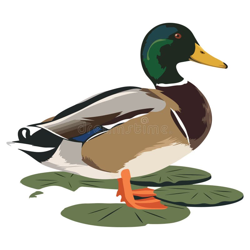 Set of Illustration Duck. Clean Vector Design Stock Illustration ...
