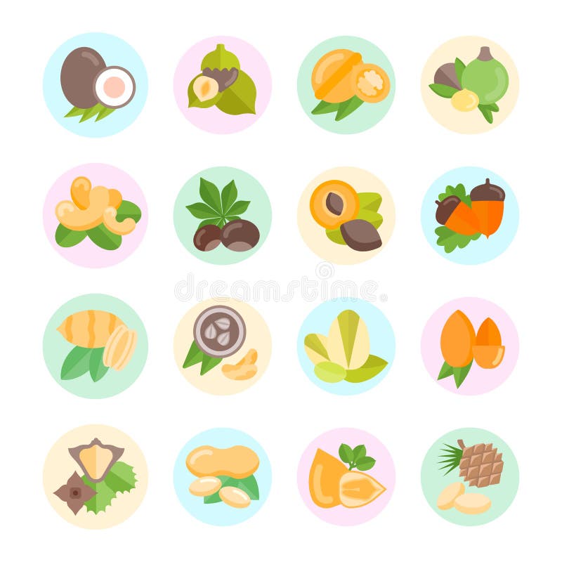 Set Vector Flat Icons of Nuts Stock Illustration - Illustration of ...