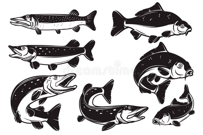 Pike Fish Icons. Design Elements for Fishing Club or Team Stock Vector ...