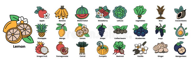 Set of Illustrations in the Concept of Fruits in Line Drawing Style ...