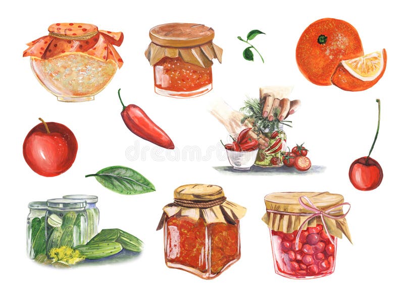 Set of Illustrations Conservation Stock Illustration - Illustration of ...