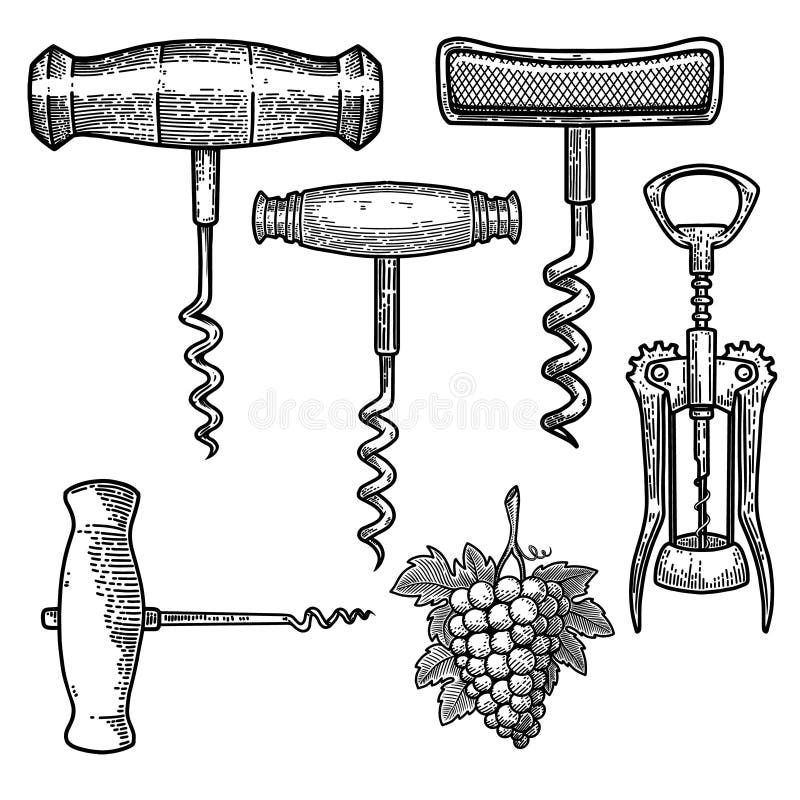 Set of Illustrations of Corkscrew in Engraving Style. Design Element ...