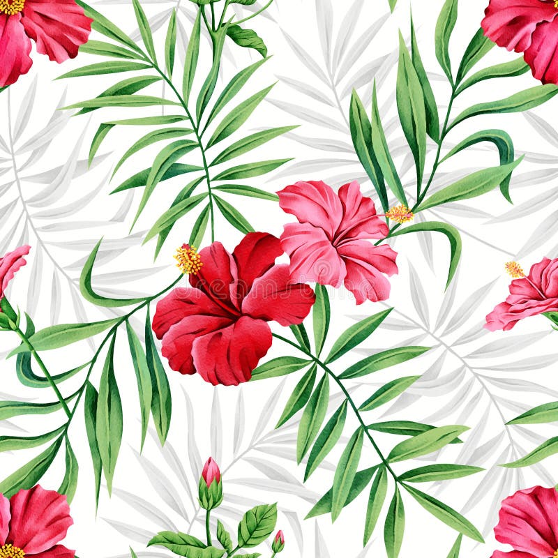 Set of Illustrations of Hibiscus Flowers, Elements Suitable for Summer ...