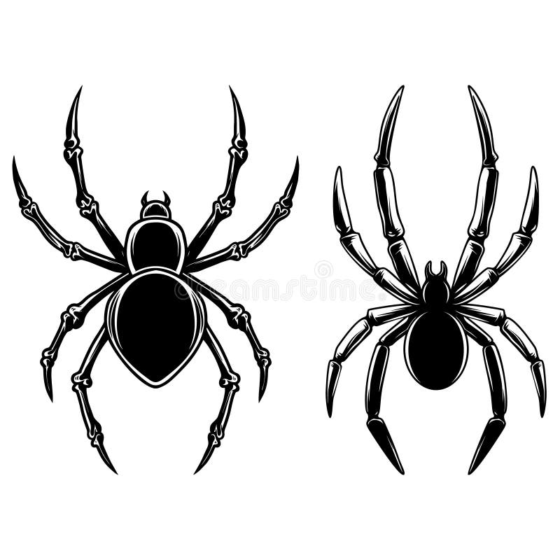 Set of Illustrations of Spider. Design Element for Logo, Label, Sign ...