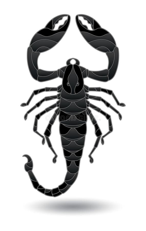 Scorpion Shadow Black Stock Illustrations – 242 Scorpion Shadow Black ...