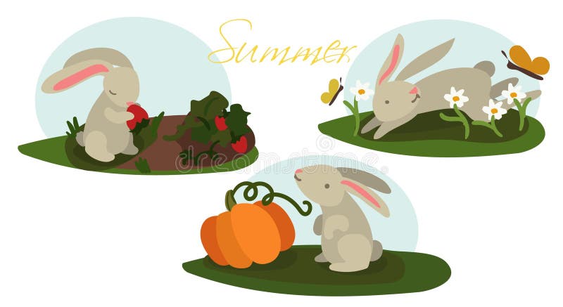 A Set of Illustrations for Three Months of Summer with Rabbits in ...