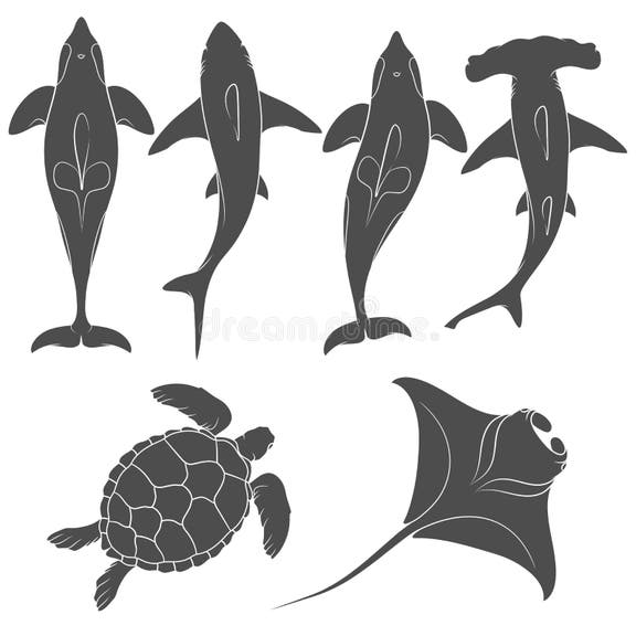 Shark Top View Stock Illustrations – 209 Shark Top View Stock ...