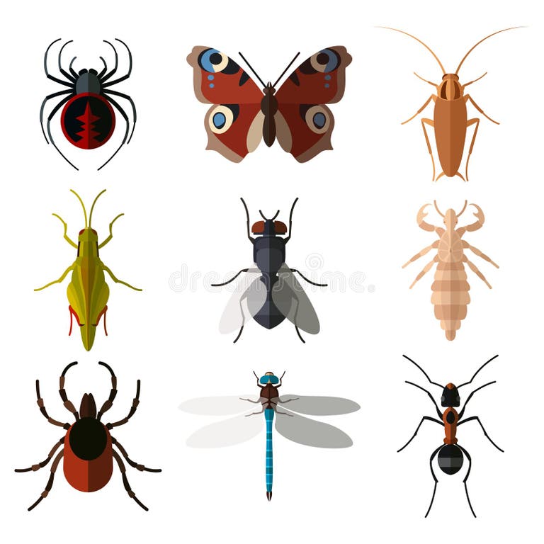 Insect Interface Stock Illustrations – 1,100 Insect Interface Stock ...