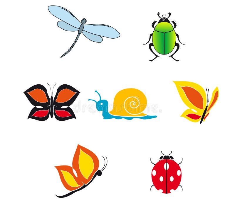Insects icons set stock vector. Illustration of beetle - 13997908