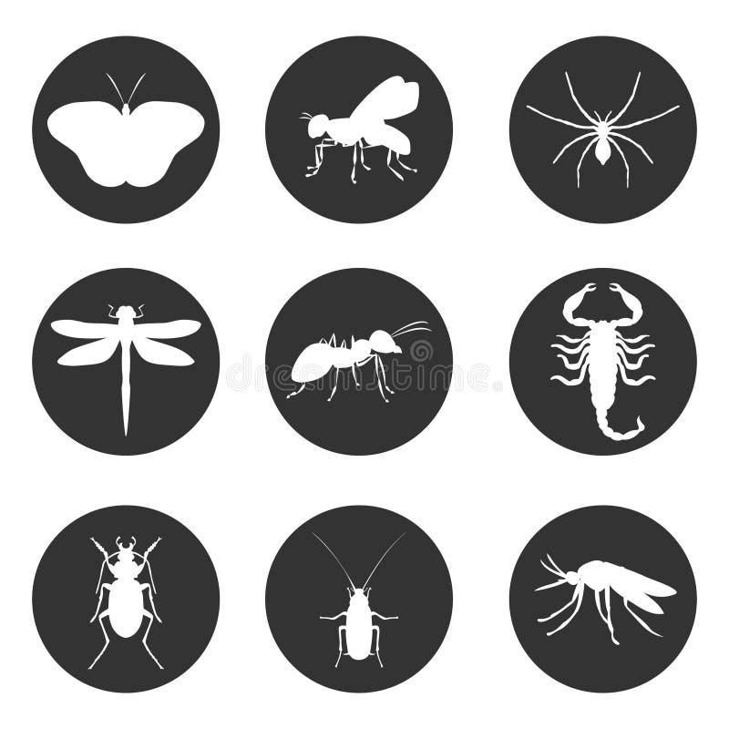 Set of Insect Icons. White Icons in Round Black Frames Stock Vector ...