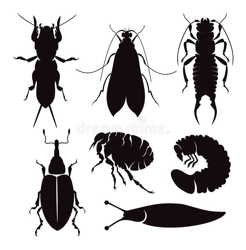 Set of Insect Silhouettes Vector Stock Vector - Illustration of object ...