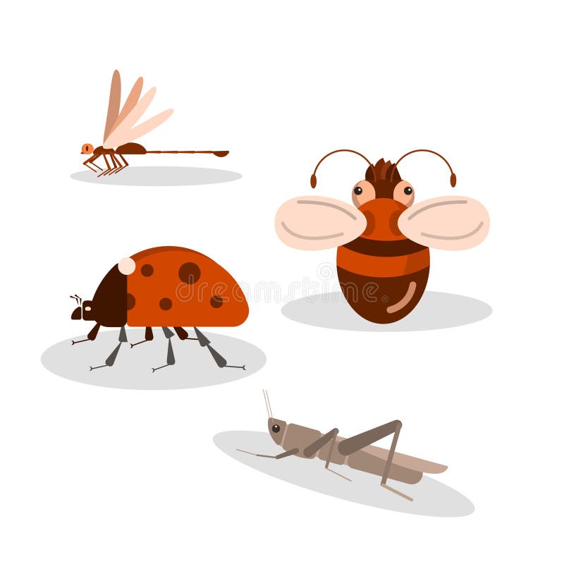 Set of Insects and Beetles,on a White Background Stock Illustration ...