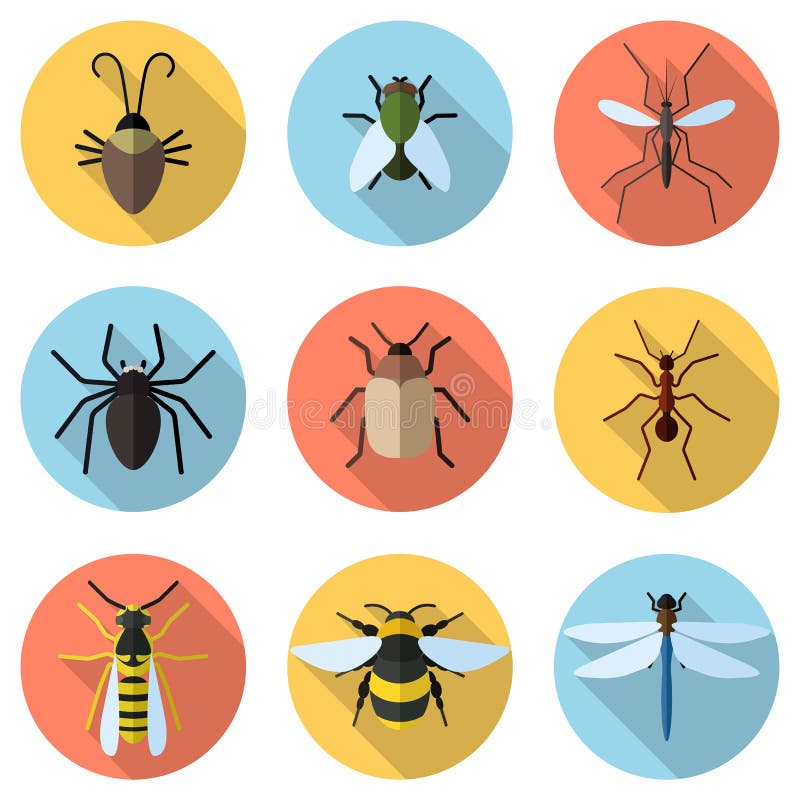 Set of 9 insects icons stock vector. Illustration of insect - 107801132