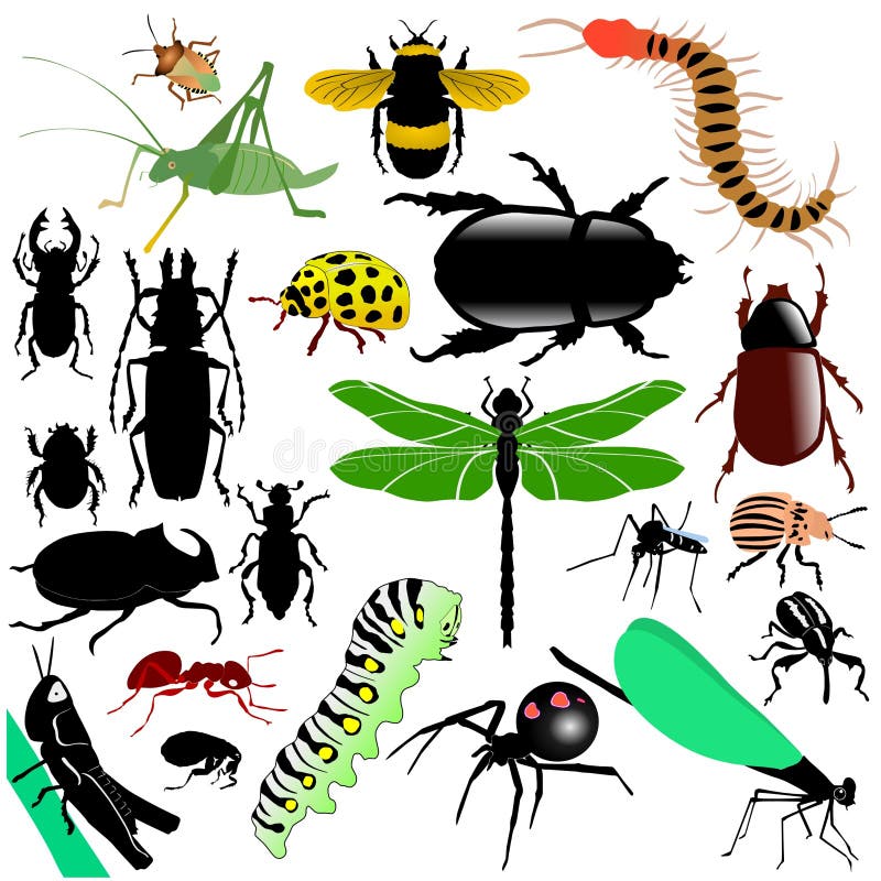 Set Insekte vektor abbildung. Illustration von gräber - 14152149