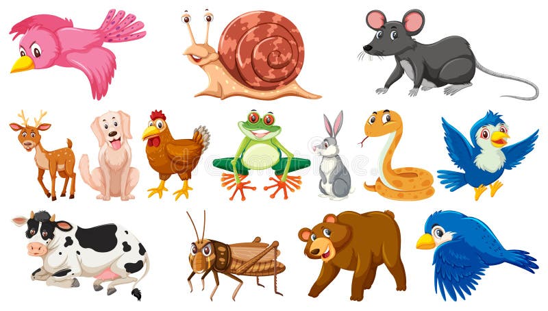 Set of Isolated Different Animals Stock Vector - Illustration of ...