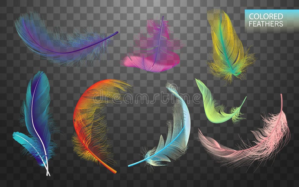 Realistic Falling Bird Fluff Stock Illustrations – 719 Realistic ...
