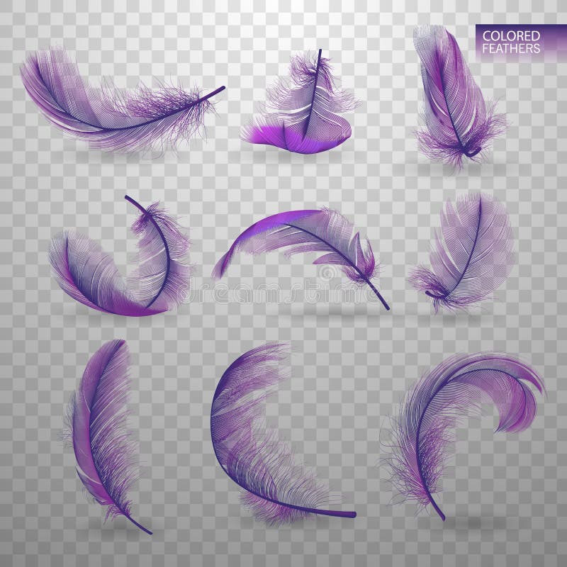 Set of Isolated Falling Colored Fluffy Twirled Feathers on Transparent ...