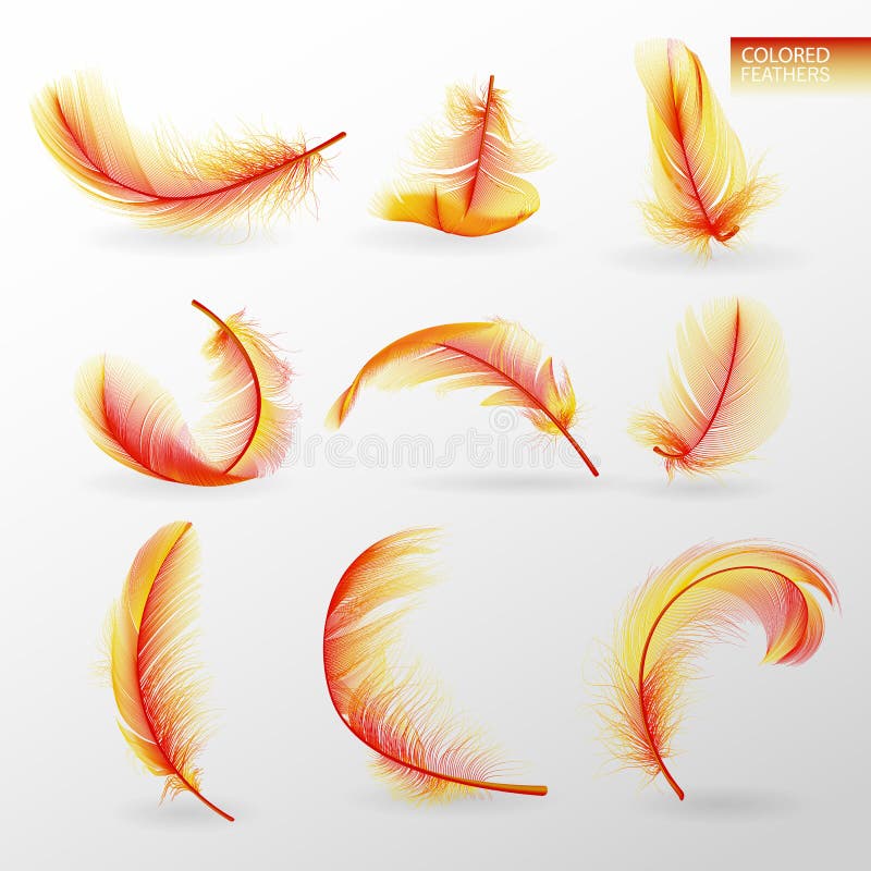 Set of Isolated Falling Colored Fluffy Twirled Feathers on Transparent ...