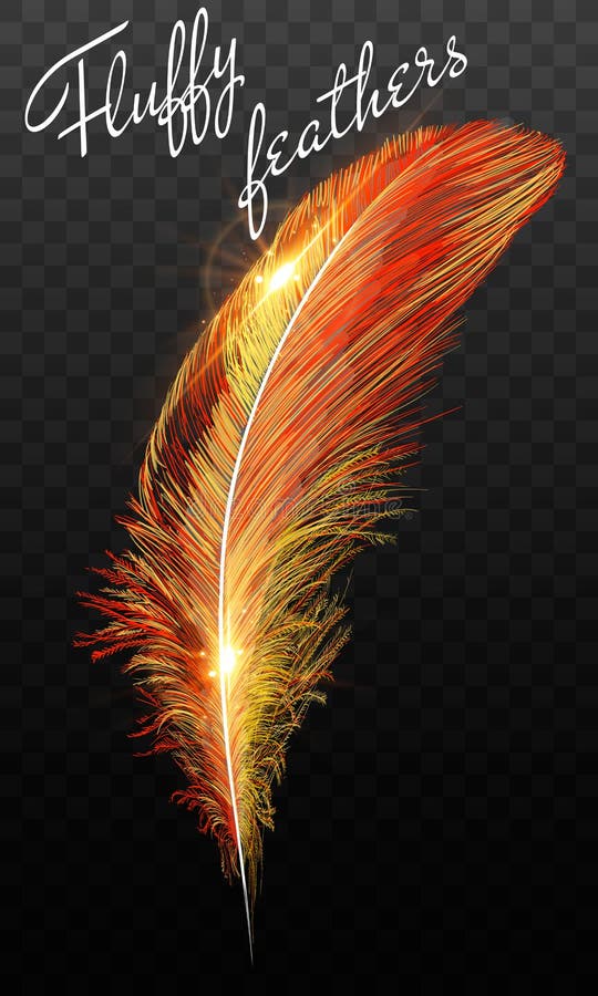 Fire Feathers Fire Bird Isolated on a Black Background. Easy Style, Can ...