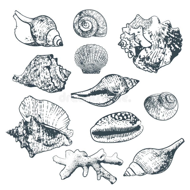 Summer Sketch Set Stock Illustrations – 130,847 Summer Sketch Set Stock ...