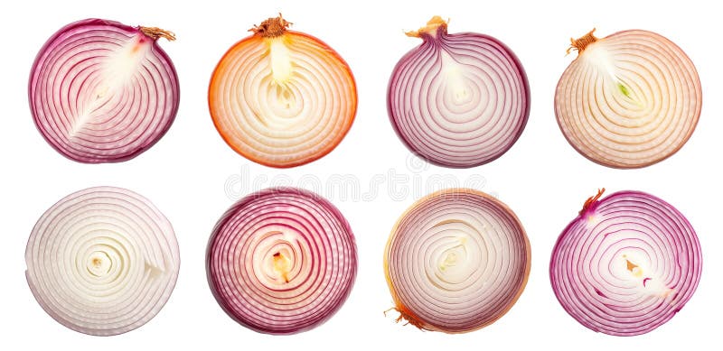 Set of Isolated Illustrations of Onion Slice. Generative AI ...