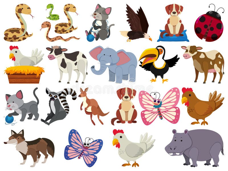 Set of Isolated Objects of Animals Stock Vector - Illustration of ...