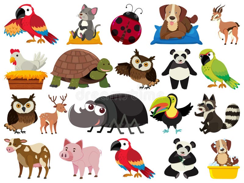 Set of Isolated Objects Theme Animals Stock Vector - Illustration of ...