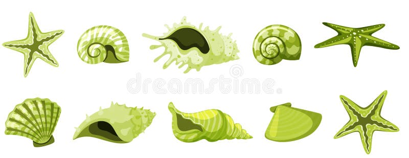 Set of Isolated Seashells in Green Color Stock Vector - Illustration of ...