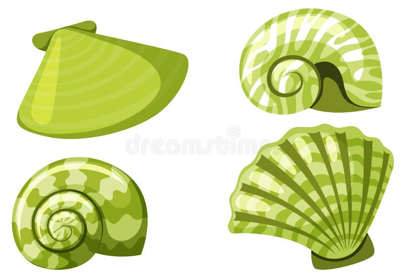 Set of Isolated Seashells in Green Color Stock Vector - Illustration of ...