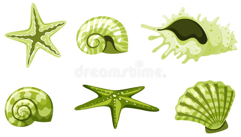 Set of Isolated Seashells in Green Color Stock Illustration ...