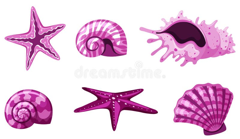Set of Isolated Seashells in Pink Stock Vector - Illustration of ...