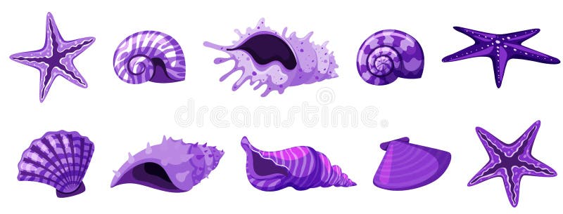 Set of Isolated Seashells in Purple Color Stock Illustration ...
