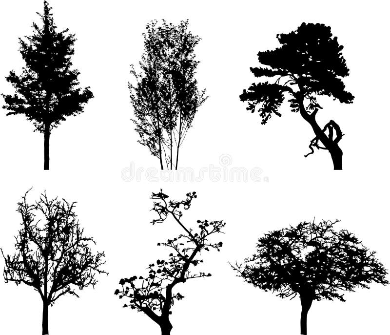 Isolated Trees 18. Silhouettes Stock Vector - Illustration of shape ...
