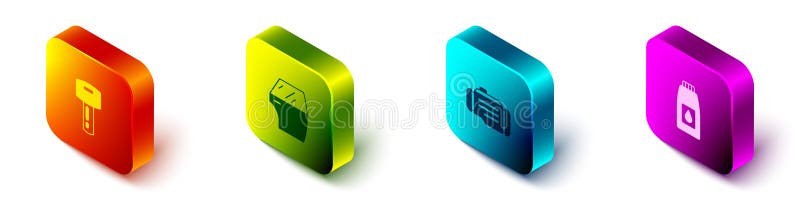 Set Isometric Car Key with Remote, Door, Check Engine and Canister for ...