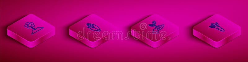 Set Isometric Line Flower, Corn, Plant in Hand of Environmental and ...