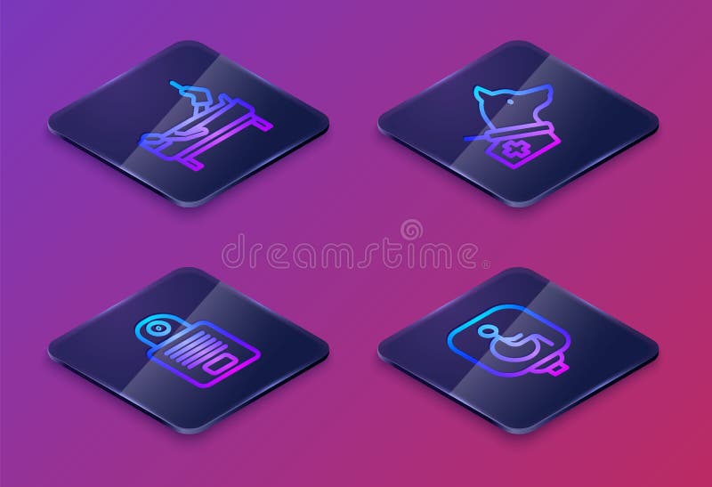 Set Isometric Line Patient with Broken Leg, Intercom, Guide Dog and ...