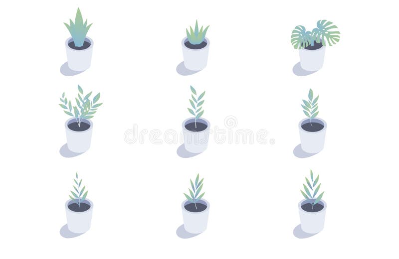 Set of Isometric Plants. Isolated Indoor Plants in Flower Pots Stock ...