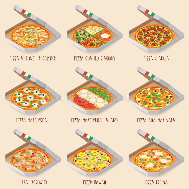 Set of Italian Pizza in Boxes. 9 Item. Different Sorts Stock Vector ...